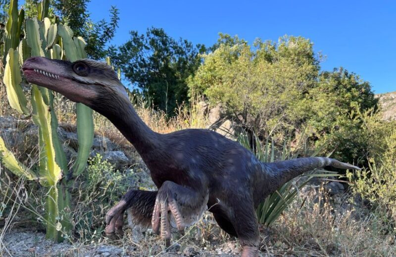 Costa Blanca: DinoPark Algar Entry Ticket - Detailed Breakdown of the Visit Experience