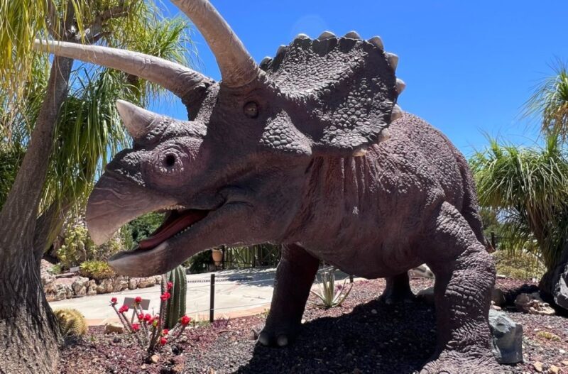 Costa Blanca: DinoPark Algar Entry Ticket - Why This Tour Offers Good Value