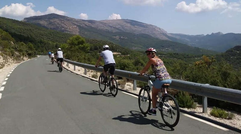 Costa Blanca: Downhill Bike Ride with Minivan Transfer - Who Should Consider This Tour?