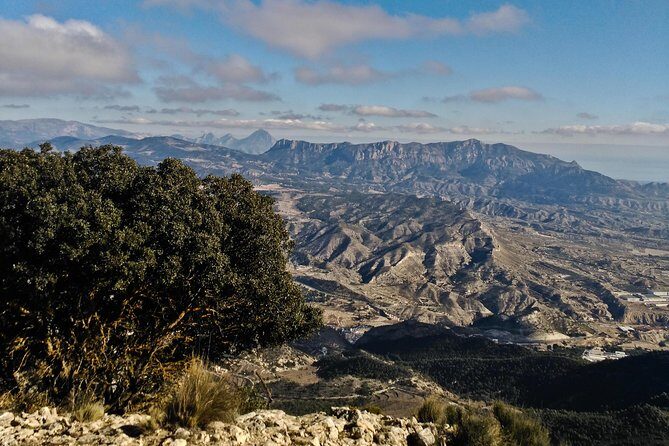 Costa Blanca Guided Walk - Authentic Experiences and Real Feedback from Travelers
