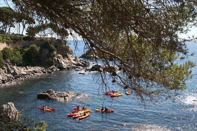 Costa Brava Guided Kayak and Snorkeling Excursion in Playa de Aro - Snorkeling in Beautiful Waters