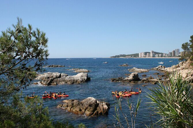 Costa Brava Guided Kayak and Snorkeling Excursion in Playa de Aro - The Experience and Reviews