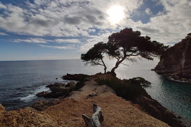 Costa Brava Kayak Experience with Snorkel from Barcelona - A Full-Day Journey to the Wild Costa Brava
