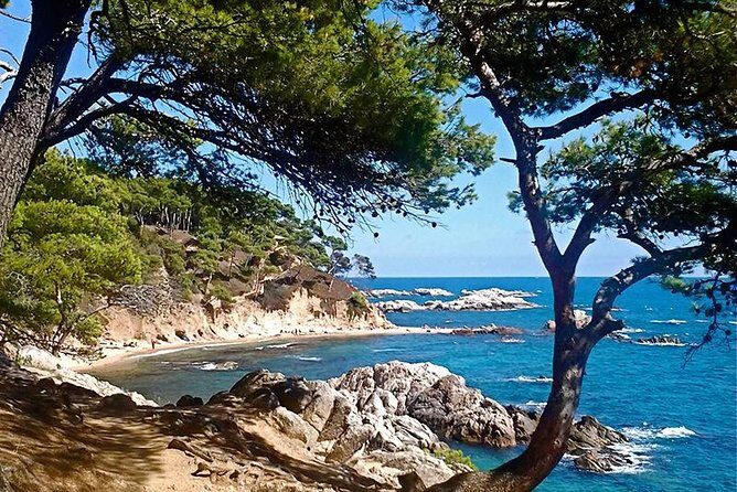 Costa Brava Small Group Hiking Tour from Barcelona - Setting the Scene: What to Expect