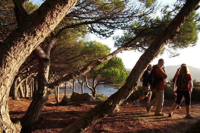 Costa Brava Small Group Hiking Tour from Barcelona - The Value Proposition