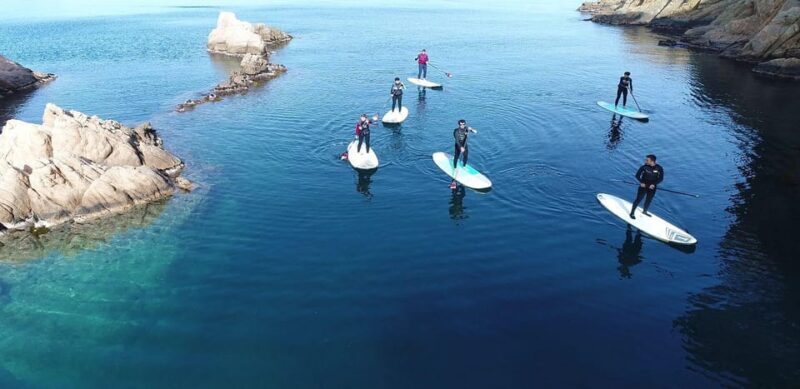 Costa Brava: Stand-Up Paddleboarding Lesson and Tour - The Sum Up