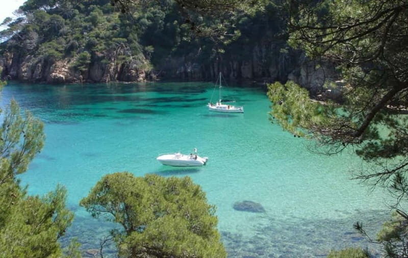 Costa Brava: tour and day trip by boat among hidden coves - Who Would Love This Tour?