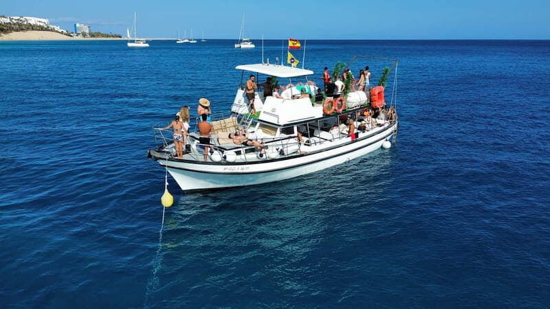 Costa Calma: Fuerteventura Dolphin Watching Boat Tour - Final Thoughts on Value and Experience