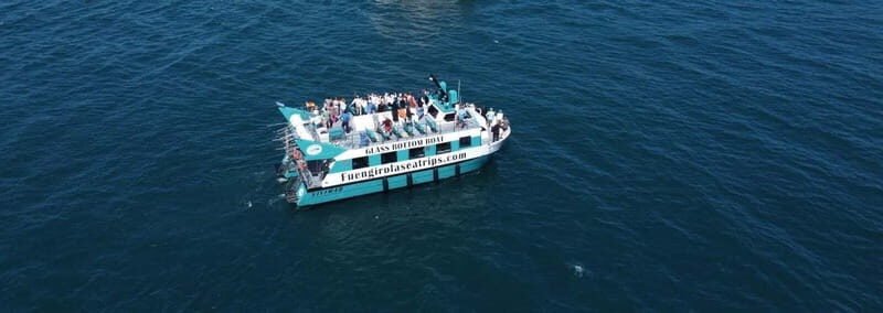 Costa del Sol: Best Sunset Cruise from Fuengirola - Who Will Enjoy This Tour?