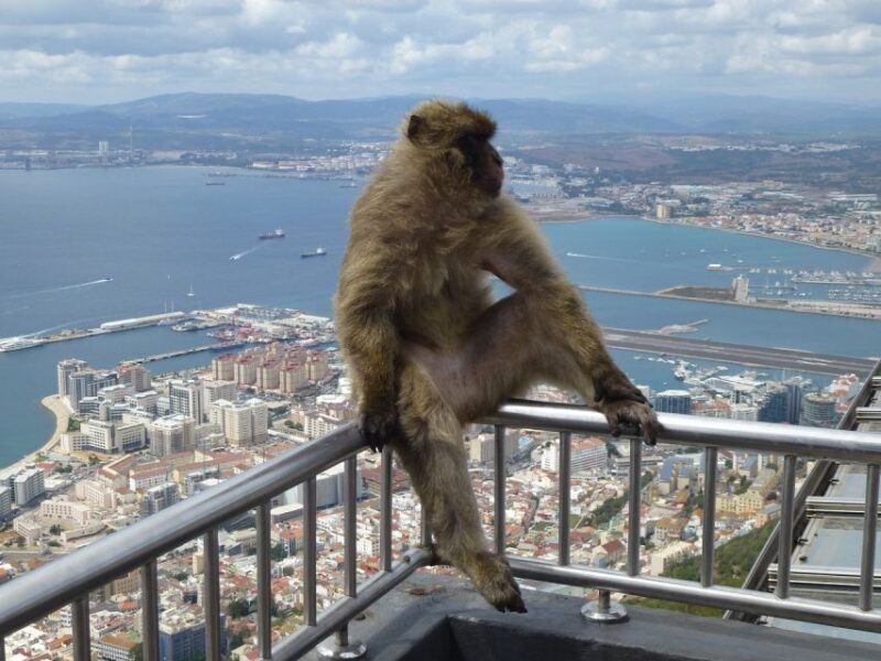 Costa del Sol: Gibraltar Day Trip with Optional Rock Tour - Practical Tips for Travelers