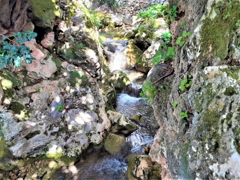 Costa del Sol: Private Tour to Ojen - Value and Practical Considerations