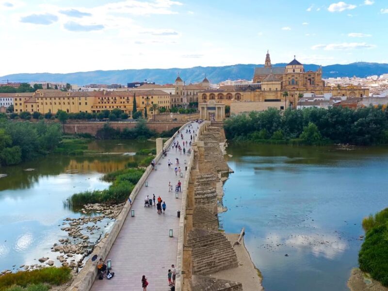 Costa del Sol: Private trip to Cordoba - Strolling Through the Jewish Quarter