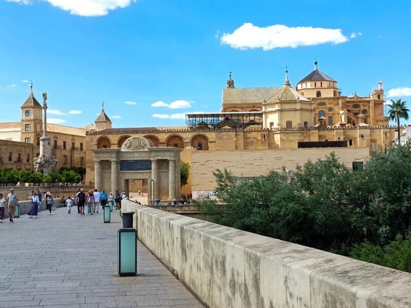 Costa del Sol: Private trip to Cordoba - Summary