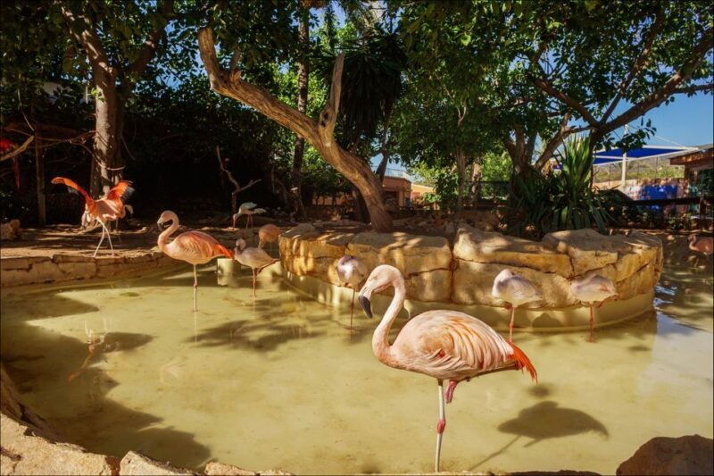 Costa d'en Blanes: Entry Ticket for Marineland Mallorca - Key Points