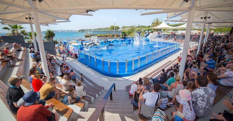 Costa d'en Blanes: Entry Ticket for Marineland Mallorca - An In-Depth Look at Marineland Mallorca