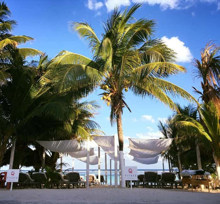 Costa Maya: Beach with Open Bar, Massage, Lunch & Snorkeling - The Guided Snorkeling & Water Activities