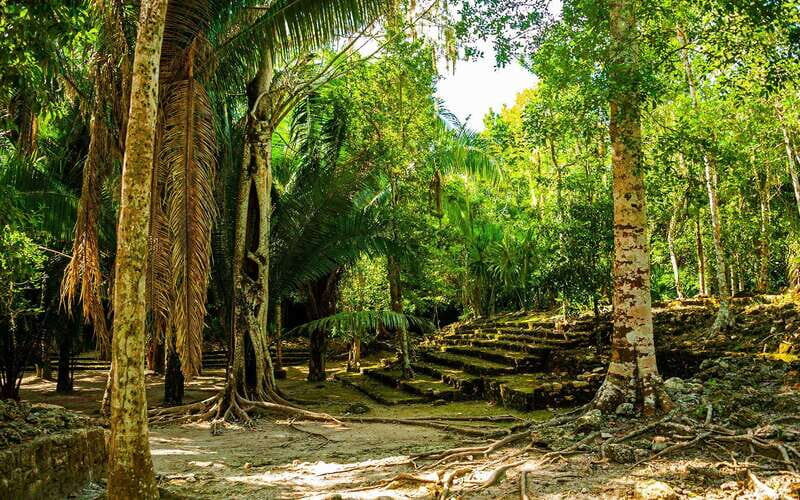 Costa Maya: Chacchoben Mayan Ruins Private Cruise Excursion - FAQ