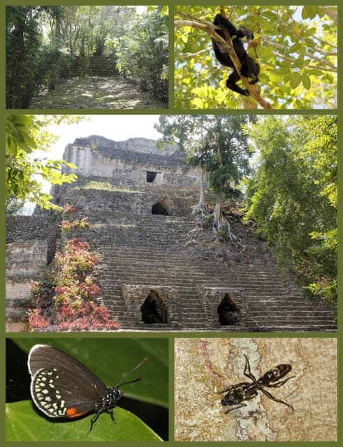 Costa Maya: Chacchoben Mayan Temples - Key Points