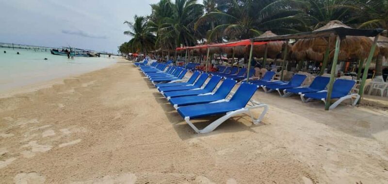 Costa Maya: Chacchoben Ruins Shore Excursion & Fruit Tasting - What To Bring and What To Know