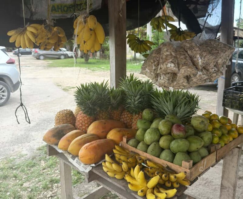 Costa Maya: Chacchoben Ruins Shore Excursion & Fruit Tasting - FAQ