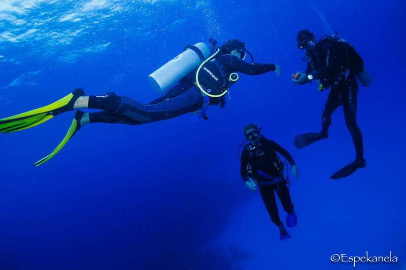 Costa Maya: Discover Scuba Diving Reef Experience - What’s Included and What’s Not