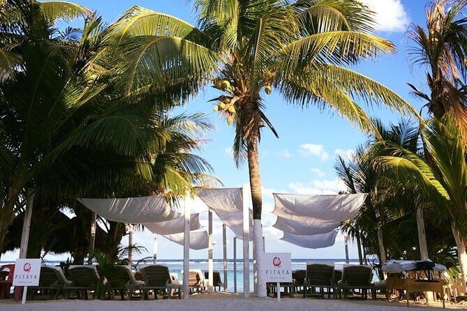Costa Maya - Pitaya Beach Open Bar, Snorkeling, Massage and Lunch - What to Expect at Pitaya Beach Costa Maya
