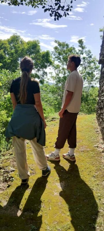 Costa Maya Port: Chacchoben Mayan Temples, crossing the Pineapple Town - The Heart of the Experience: Walking Through the Jungle