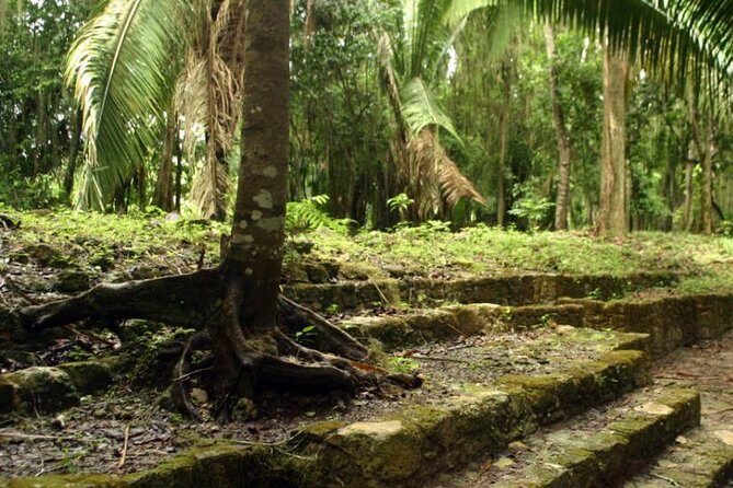 Costa Maya Shore Excursion: Chacchoben Day Trip - An In-Depth Look at the Chacchoben Day Trip
