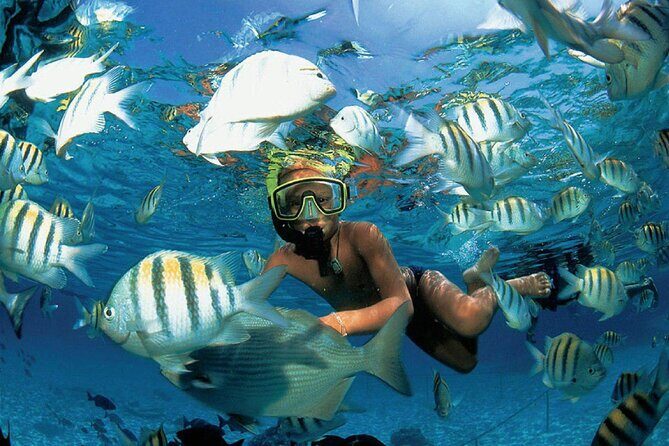 Costa Maya Snorkel Tour - FAQs