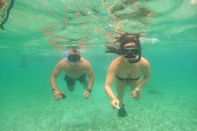 Costa Maya, snorkeling on the reef with fish, looking for turtles - The Sum Up: Is It Worth It?