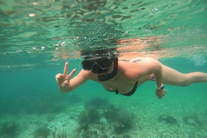 Costa Maya, snorkeling on the reef with fish, looking for turtles - FAQ
