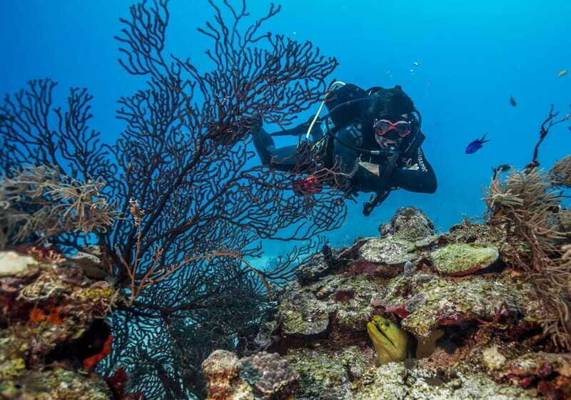 Costa Maya: Two Tank Fun Dive for Certified Divers - Who Will Love This Tour?
