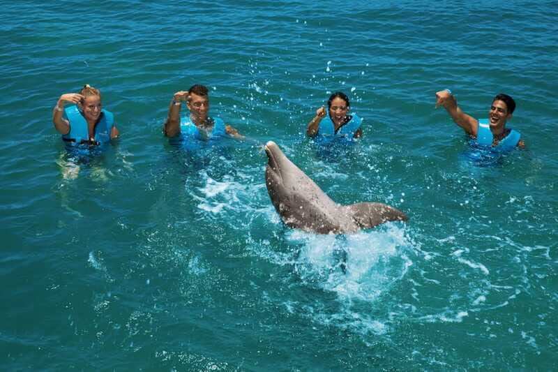 Costa Mujeres: Swim with Dolphins - Final Thoughts