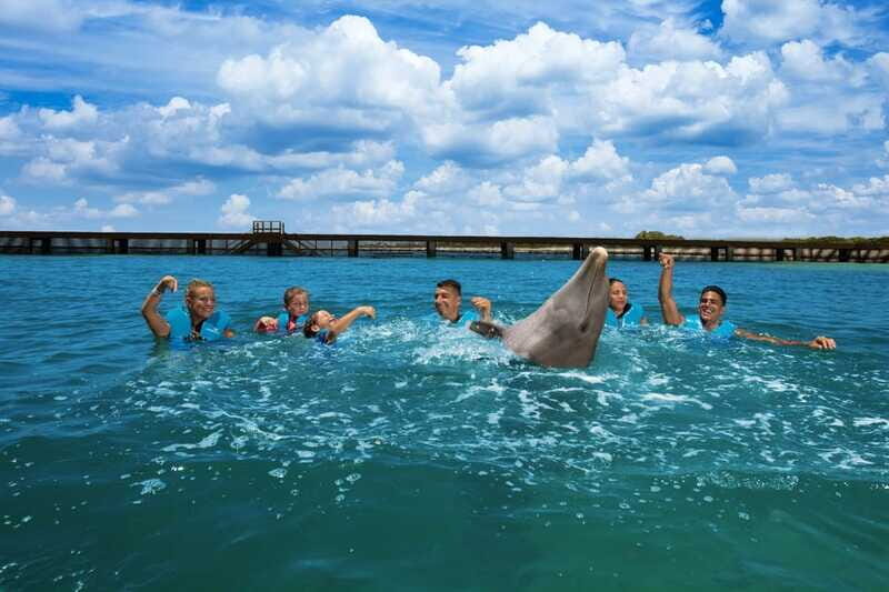 Costa Mujeres: Swim with Dolphins - FAQ