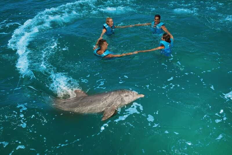 Costa Mujeres: Swim with Dolphins - In Closing