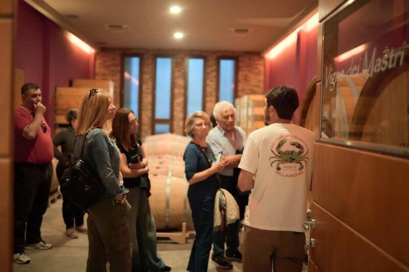 Costigliole d'Asti: Cellar tour and tasting - Key Points