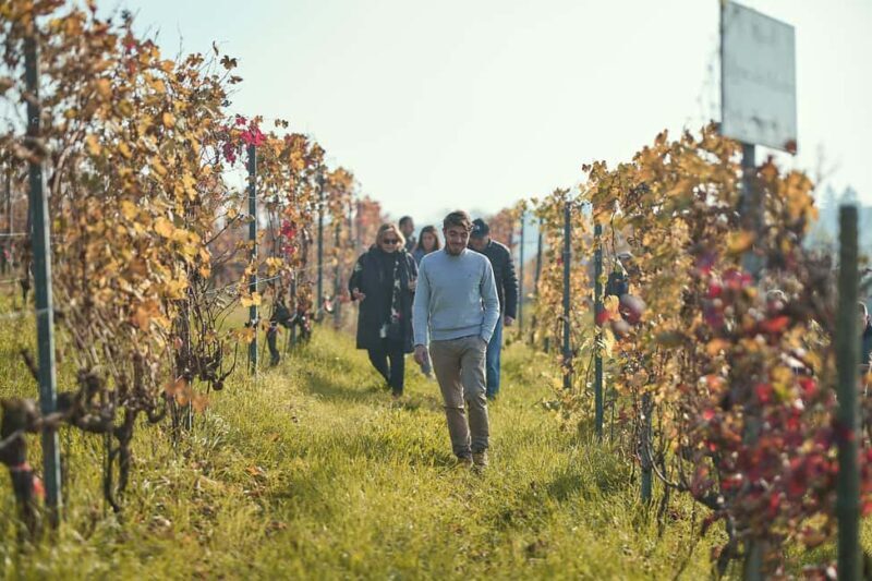 Costigliole d'Asti: Cellar tour and tasting - An In-Depth Look at the Experience