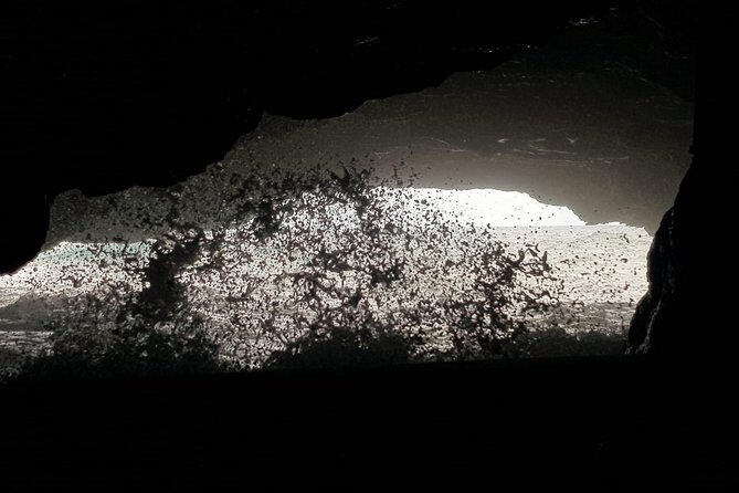 Costumizable East to West Island Tour Experience - Practical Details and Value