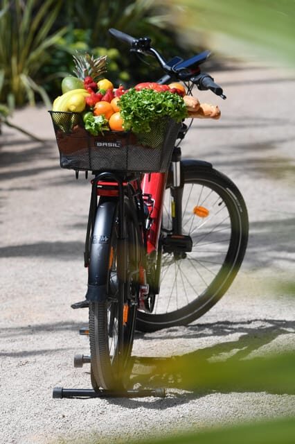 Côte d'Azur: E-Bike Rental - Who Would Love This Tour?