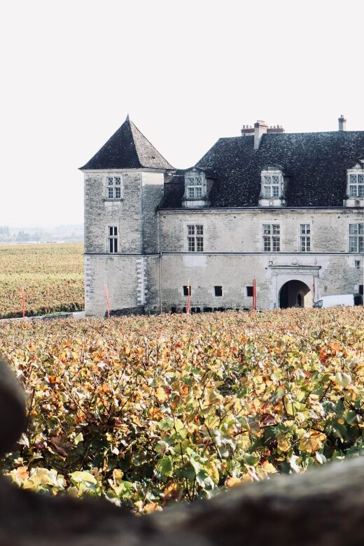Côte de Beaune and Côte de Nuits : Private Full day Winetour - Introduction