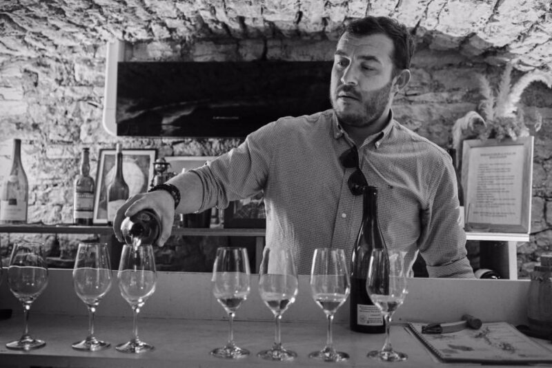 Côte de Beaune and Côte de Nuits : Private Full day Winetour - The Practical Side: Value, Comfort, and Flexibility