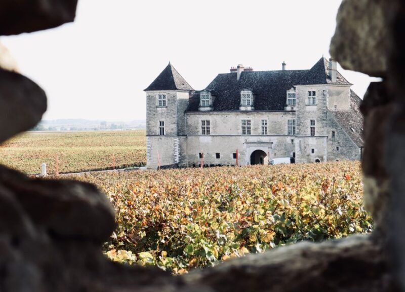 Côte de Beaune and Côte de Nuits : Private Full day Winetour - Authentic Experiences and Guest Feedback
