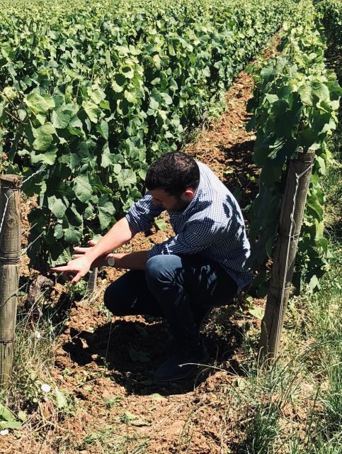 Côte de Beaune and Côte de Nuits : Private Full day Winetour - The Sum Up