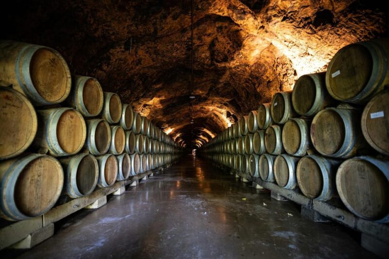 Côte de Beaune Half-Day Wine Tour from Dijon - A Balanced View of the Côte de Beaune Half-Day Wine Tour