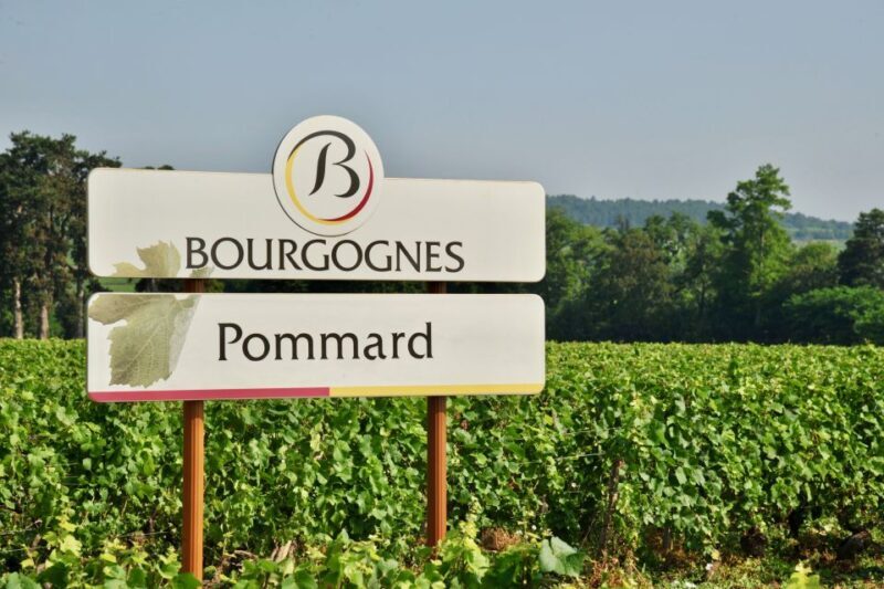 Côte de Beaune Private Local Wineries and Wine Tasting Tour - Introduction