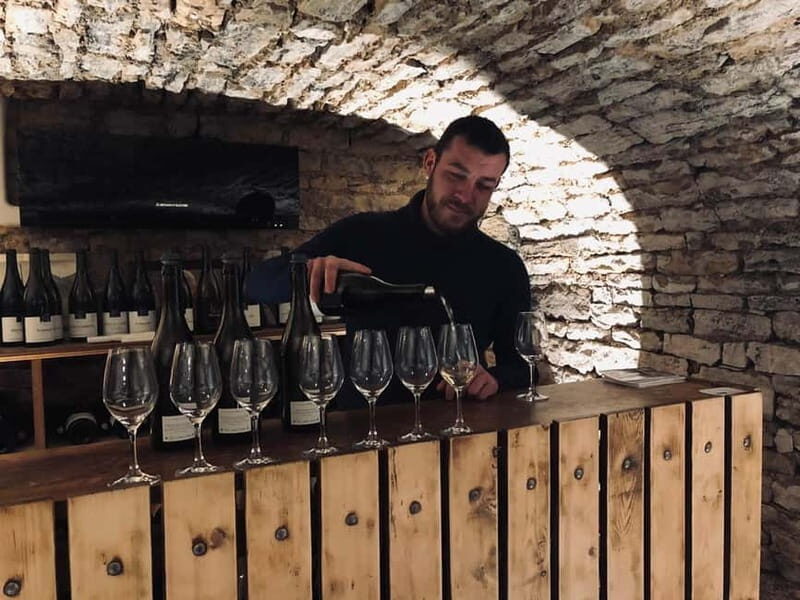 Côte de Nuits: 2h30 excursion among the vines - Key Points