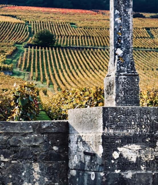 Côte de Nuits: 2h30 excursion among the vines - An In-Depth Look at the Côte de Nuits Tour