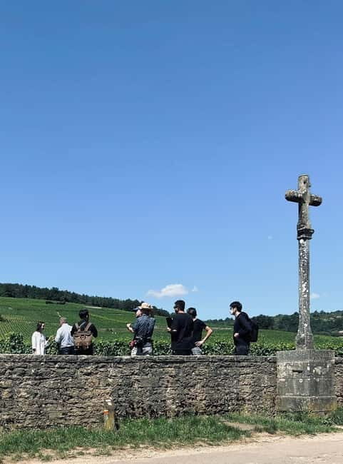 Côte de Nuits: 2h30 excursion among the vines - Whats Included and Practicalities
