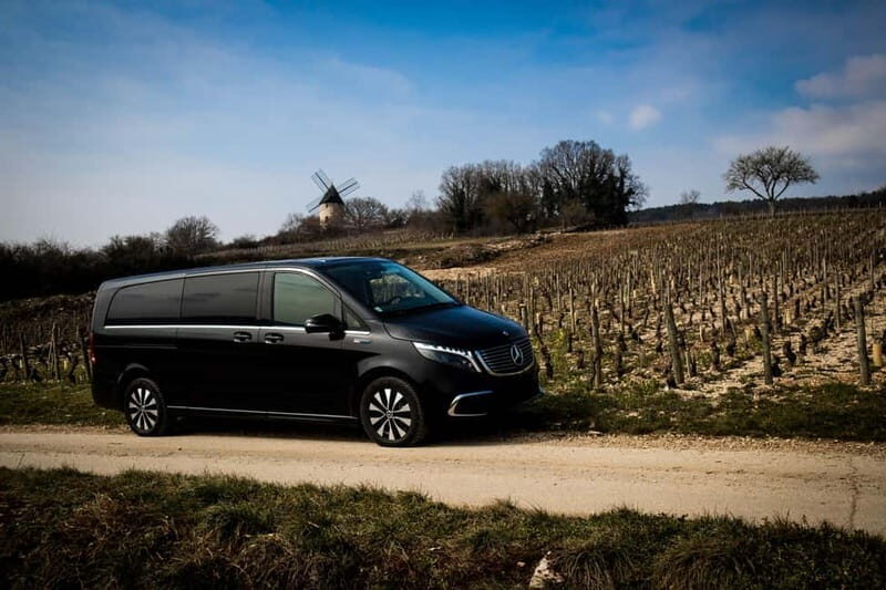 Côte de Nuits: 2h30 excursion among the vines - Pricing and Value