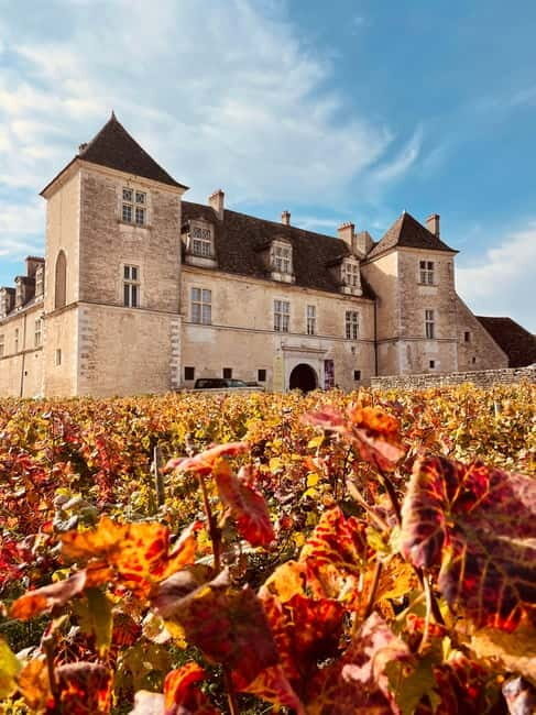 Côte de Nuits: 2h30 excursion among the vines - FAQ
